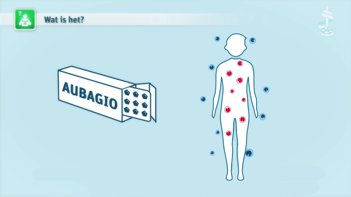 Beeldsluiter - De bijsluiter in beeld