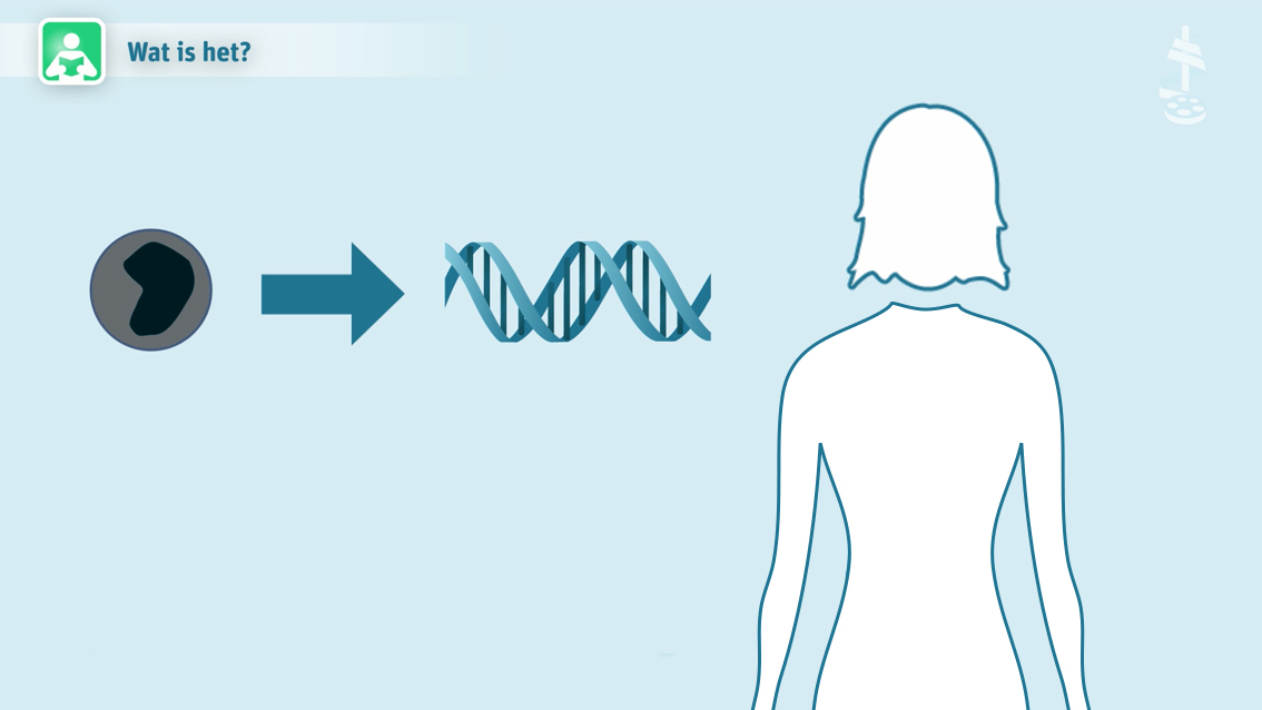 Beeldsluiter - De bijsluiter in beeld